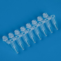 PCR Strips: 2 Types, 8-well & 12-well Products- GenFollower