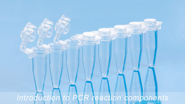 Introduction to PCR reaction components - GenFollower